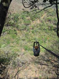 Index of /images/canopy/web