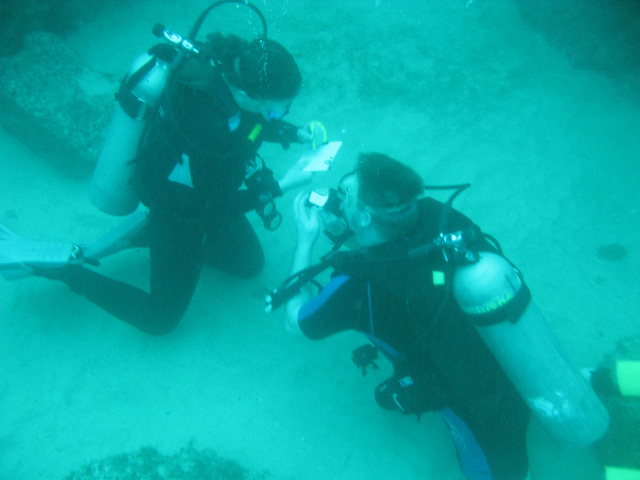 Index of /images/diving/undersea