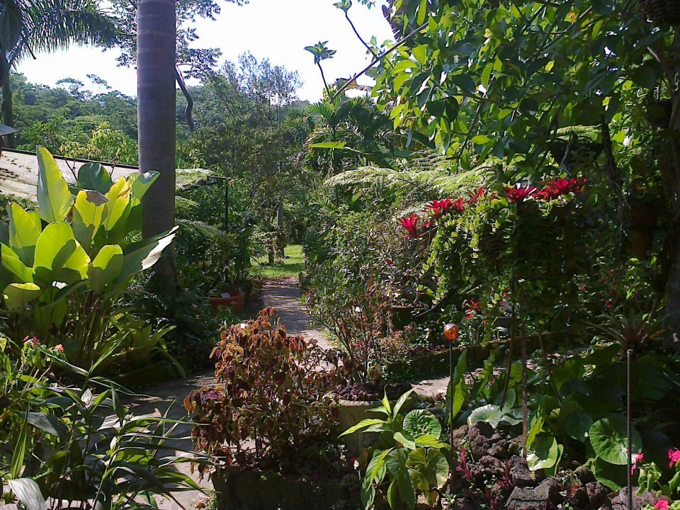 Index of /images/eleden