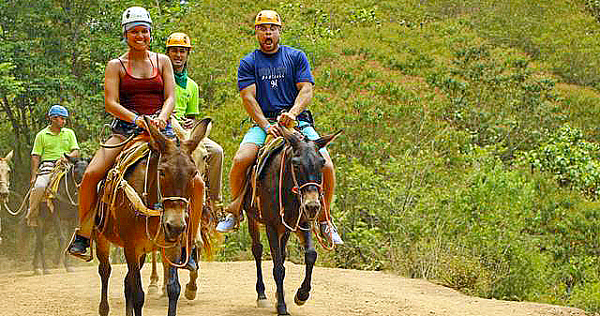 Rio Cuale Mule Ride Tour - Puerto Vallarta